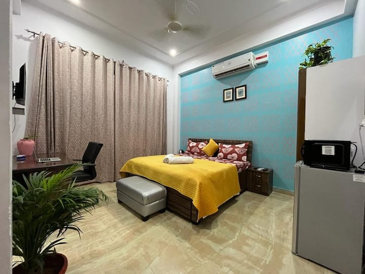 Ace - Jaipur