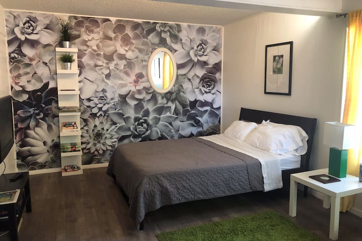 Fully Private & Economical East Austin Studio Apt! - 奧斯汀