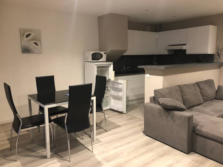 Appartement Amelie Les Bains - Amélie-les-Bains-Palalda