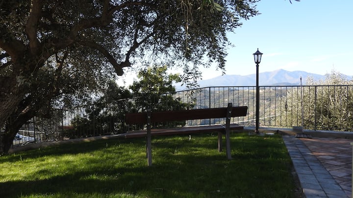 Camera Con Nuances Ispirate All'olivo Ligure - Bordighera