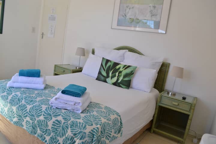 Queen Palm - Plettenberg Bay