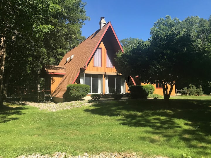 Cozy Alpine Cottage - Lake Michigan Beach, MI