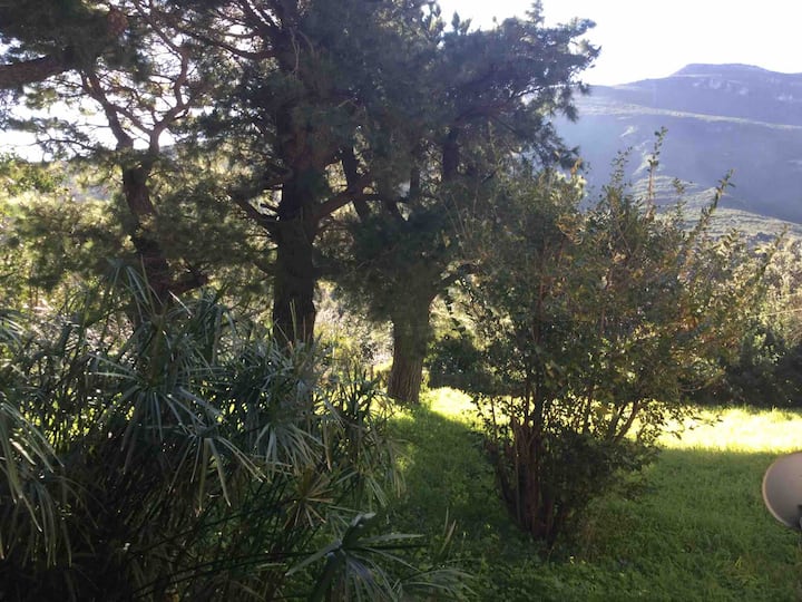 Appartement Au 1er éTage Avec Jardin - Cap Corse