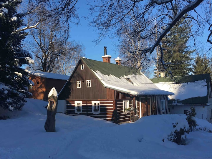 Chalet De Montagne Dans La Crèche - Rochlitz an der Iser