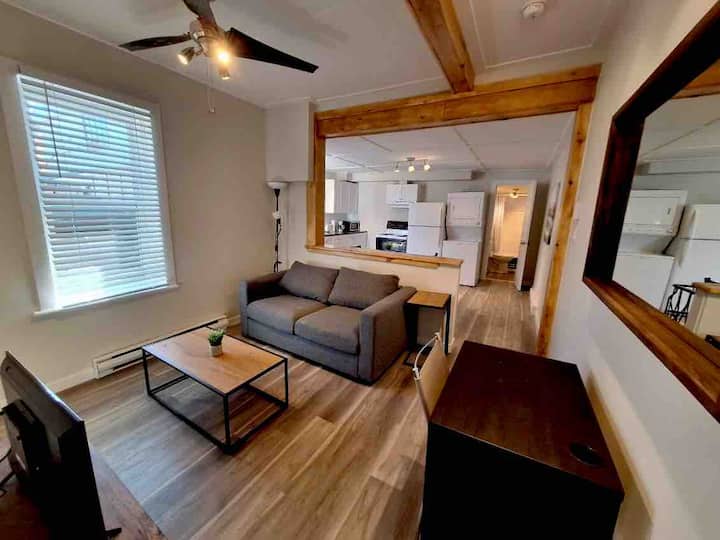 Centre-ville De Hull,appartement 1 Chambre(42c) - 加蒂諾