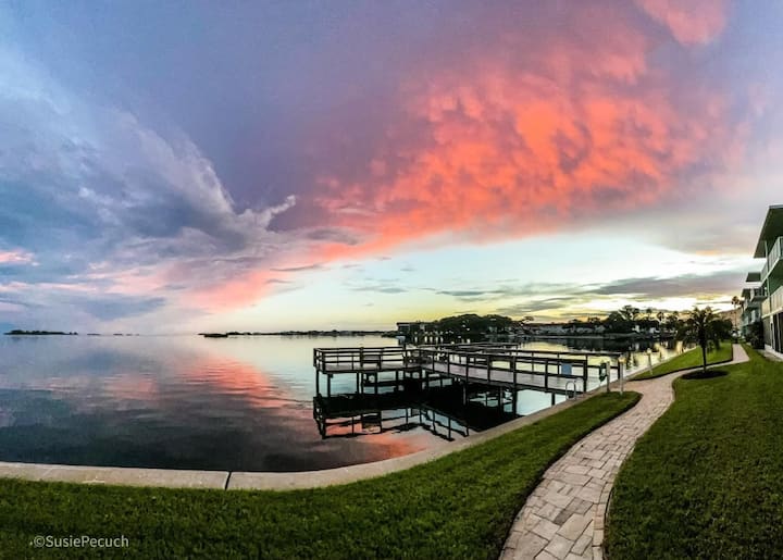 Charlie's Paradise Condo On The Causeway - Dunedin, FL