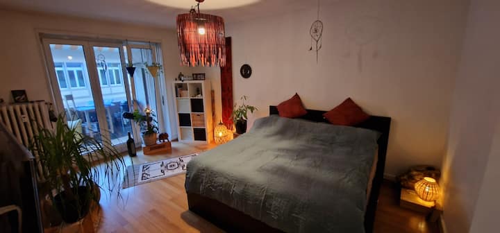 Beautiful Flat For Exhibition Or Just For Relaxing - Basilea