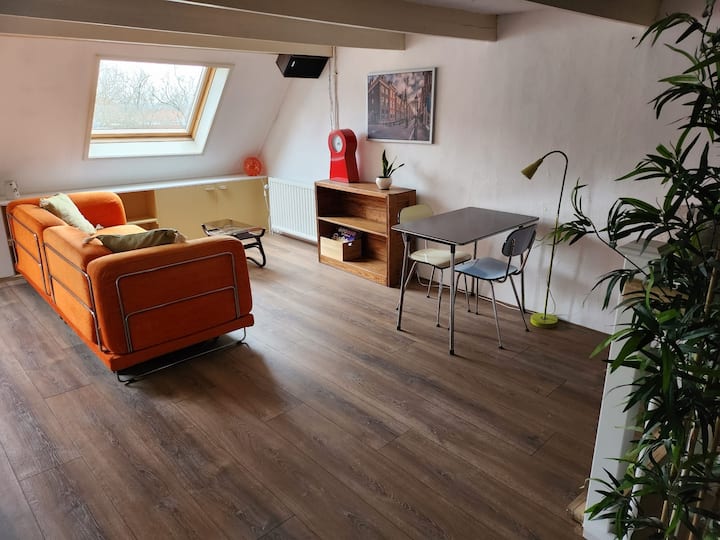 Attic Apartment In Central Delft With Church Views - Delft