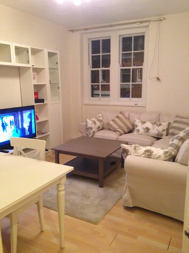 Bright And Cosy Apartment In Russel Square - Bloomsbury