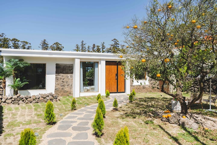 [2주년 할인]독채 / 감성숙소 / 실내 자쿠지 /돌담뷰 / 귤밭뷰 / 불멍 / 애월오사이 - Jeju-si