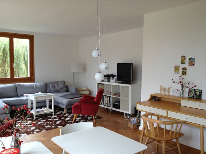 Wonderful Apartment! Gorgeous View! - Vevey