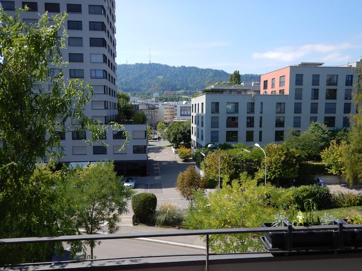 Bright, Cozy Apartment. - Zürich