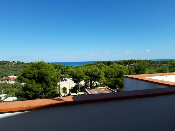 Melograno - Vieste
