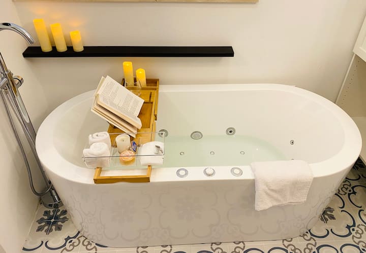 Casa Plumeria- Luxe Guesthouse With King Bed - St. Petersburg, FL