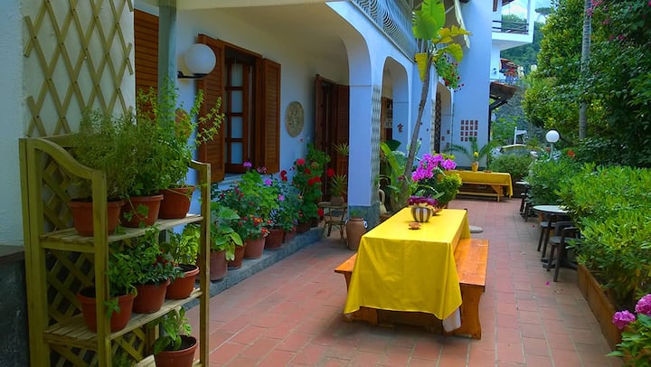 Enchanting B&b Villa Anna Wunderbar In Ischia_2pax - Ischia Porto