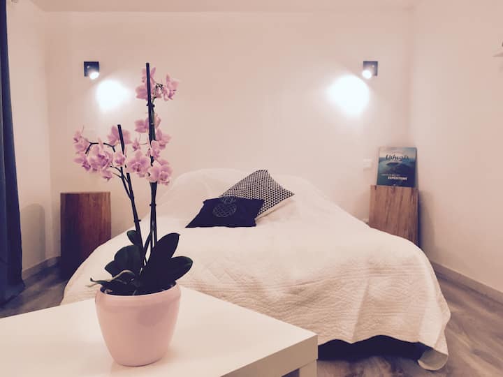 Chambre Indépendante Et Chaleureuse Avec Jardin - Peisey-Nancroix