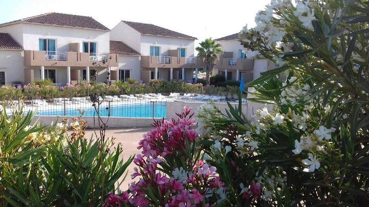 Appartement 3/4 Pers. Avec Piscine En Corse - Aléria