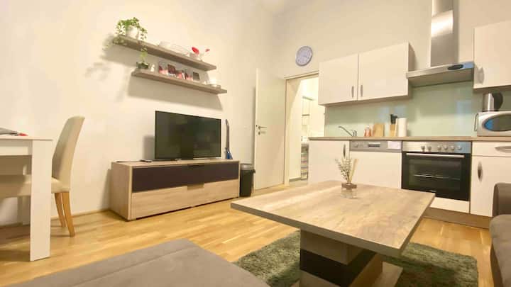 Calm, Easy Access To Center&schönbrunn&airport:) - Viyana