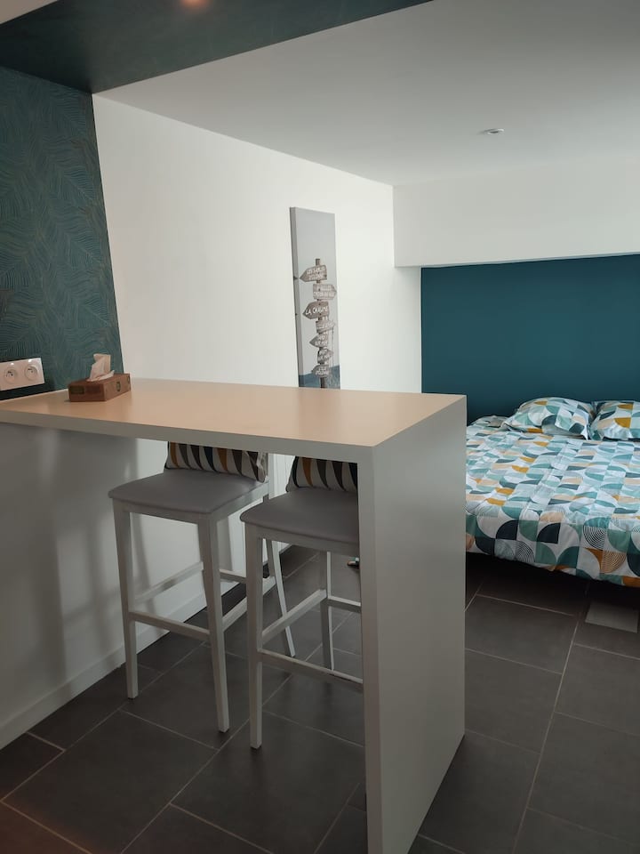 Studio Avec Grande Terrasse - Olonne-sur-Mer