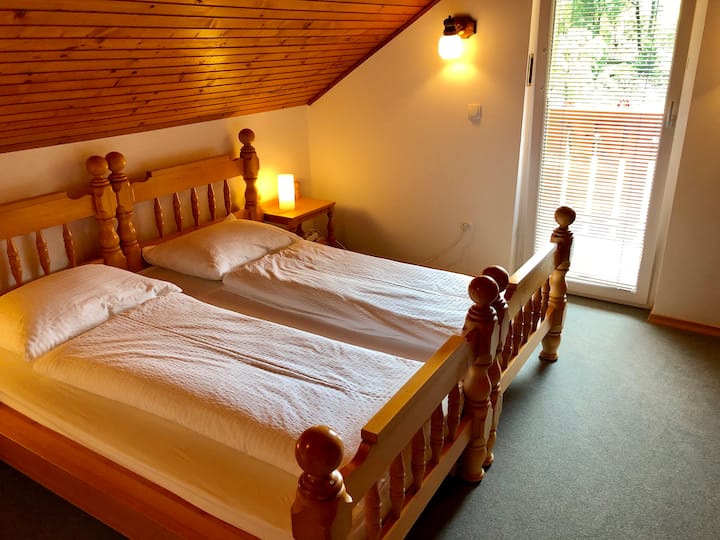 Vila Slavc1 - Bled