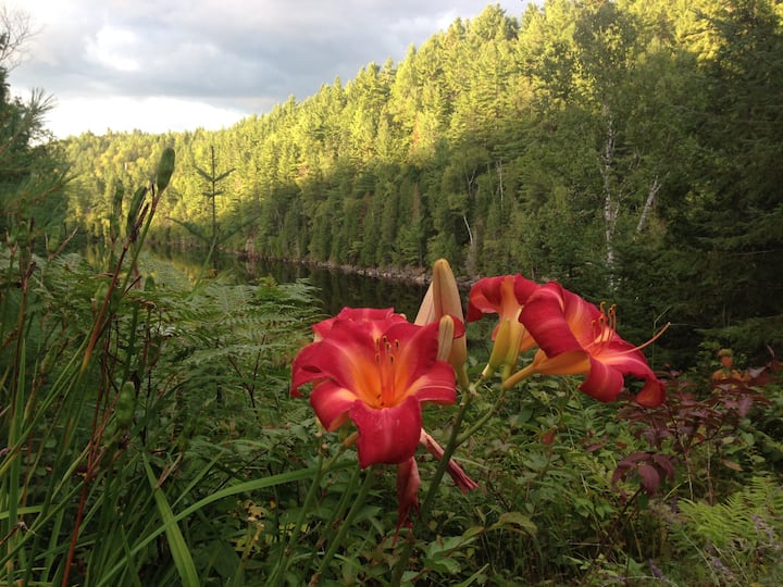 Le Solitaire (Parc National De La Mauricie) - Shawinigan