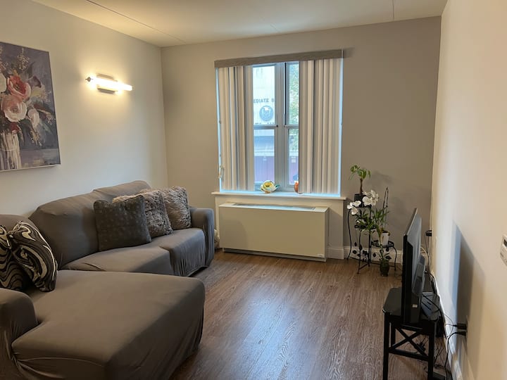 Lovely 1 Bedroom Apartment In The Bronx. - The Bronx, NY