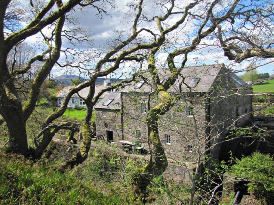 16th century watermill and ecospot - Houses for Rent in Balmaclellan ...