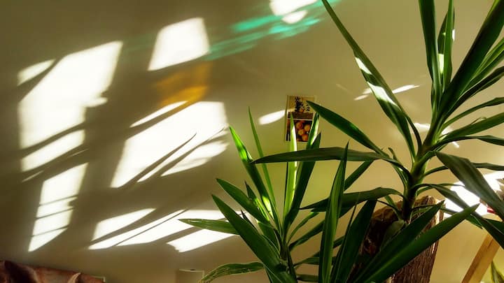 Ap Ensolarado, Com Garagem, Jardim E Portaria 24h! - Curitiba