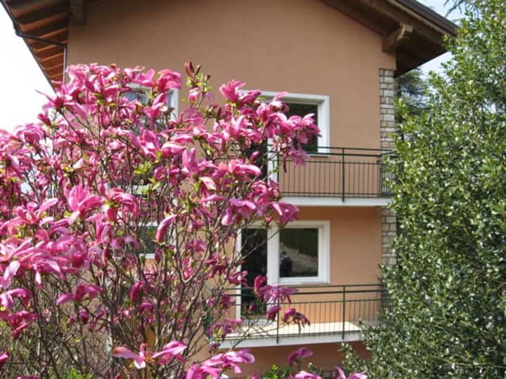 Apartment Parco Delle Terme - Luserna