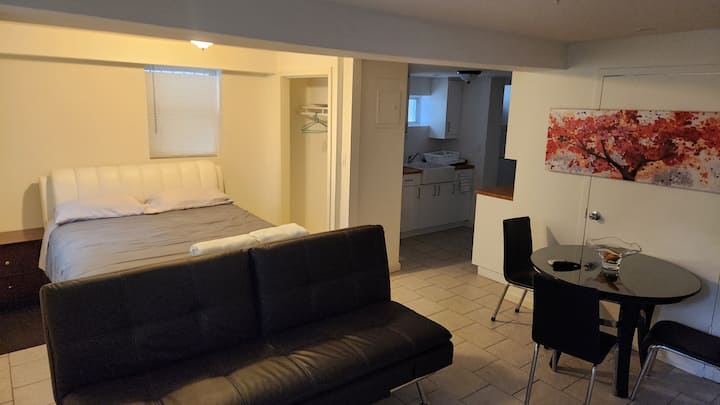 Private Apartment In Astoria, Queens Ny - Astoria - Queens NY
