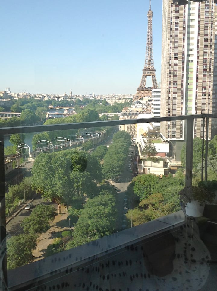 Marvelous view of the Eiffel Tower and the Seine - Apartments for Rent ...