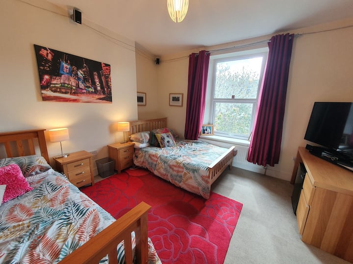 Big Family/group/just Mates Wanting To Share Room - Devon