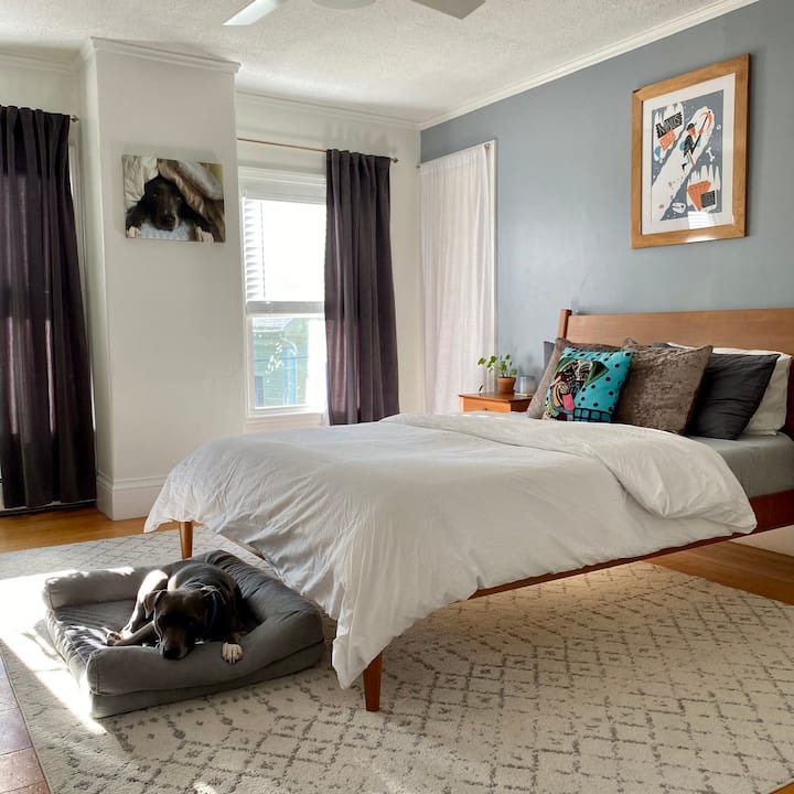 Spacious, Sunny On Munjoy Hill- Pet Friendly - Portland, ME