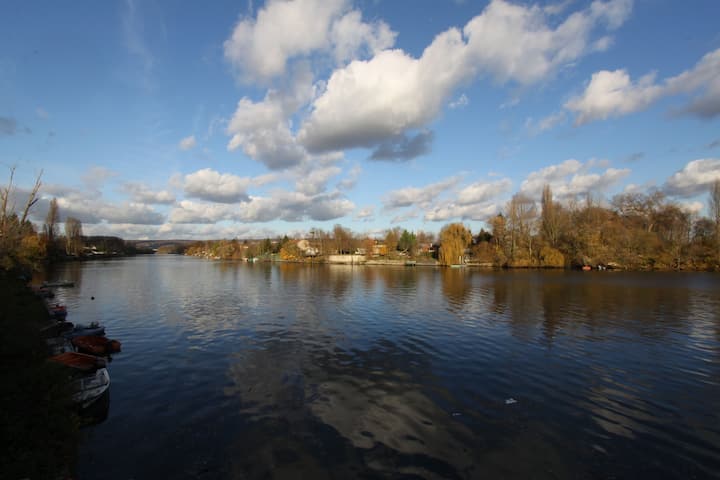Comme Un Poisson Dans L'eau - Triel-sur-Seine