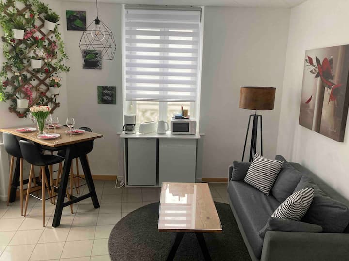 Black & White Harmony / Free Parking - Belfort