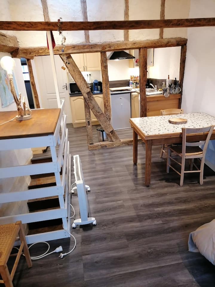 Bel Appartement De La Cité. - Mirepoix