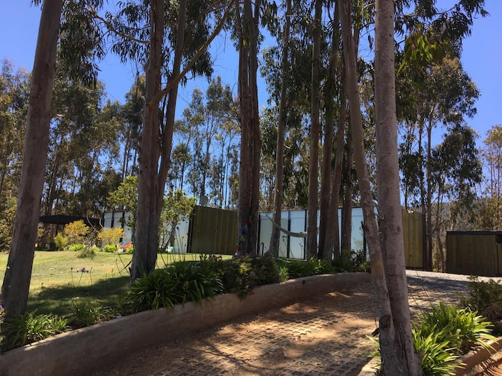 Increíble Casa Con Vista Al Mar! - Algarrobo