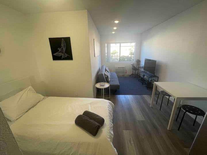 Ultra Modern Studio With All Amenities - Los Angeles, CA