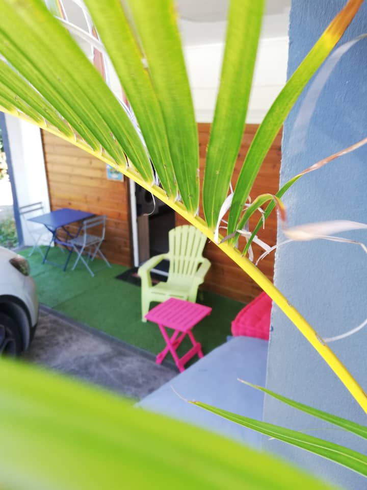 Le Bougainvillier - Saint-Pierre