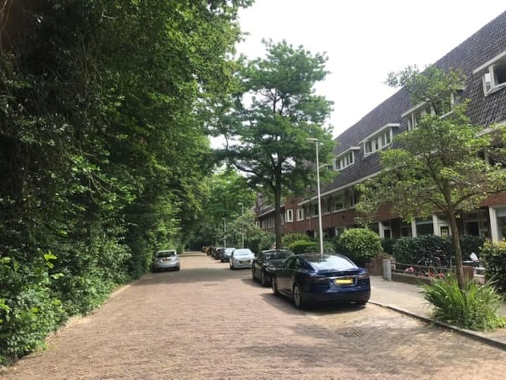 Stadsvilla Wilhelminapark, Heel Groen In Centrum - Utrecht
