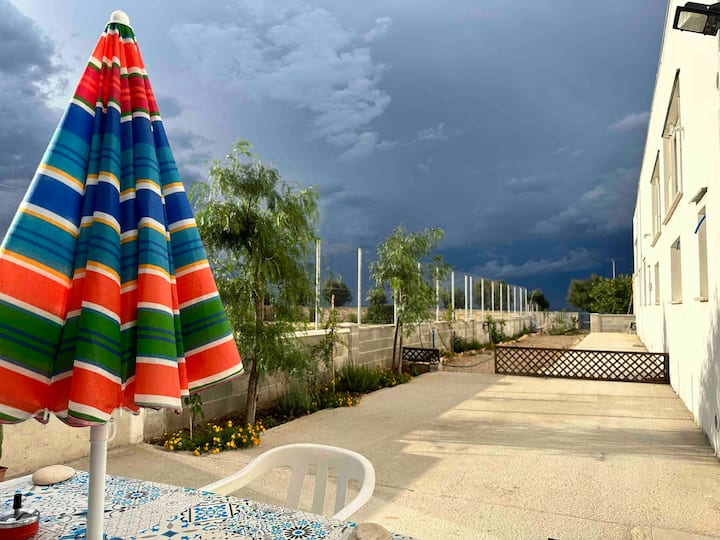 Blue Reef Puglia:  Il Delfino - Giovinazzo