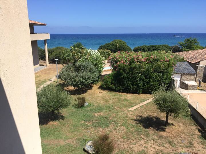 Appartement Les Pieds Dans L'eau - Korsyka