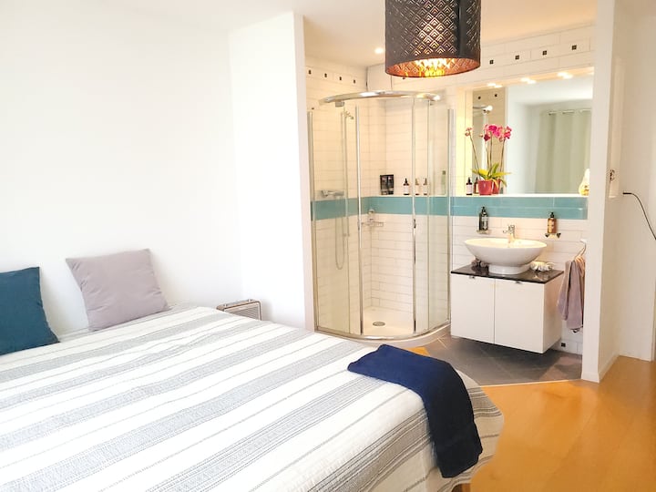 Chambre Double Avec Salle De Bain Privée - Martigny