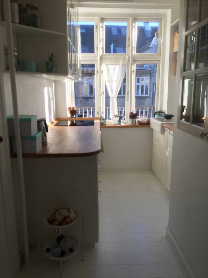 Apartment In Central Copenhagen When It's Best! - Copenaghen