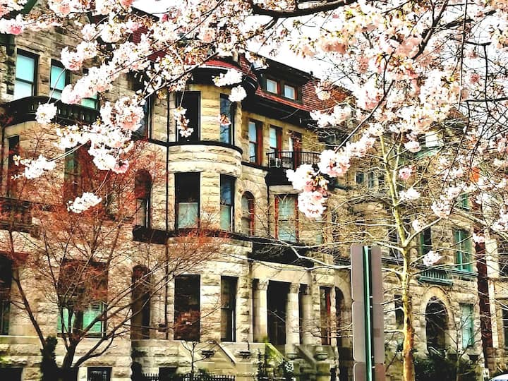 Beautiful, Sunny Dupont Circle Condo With Balcony - Washington, D.C., DC