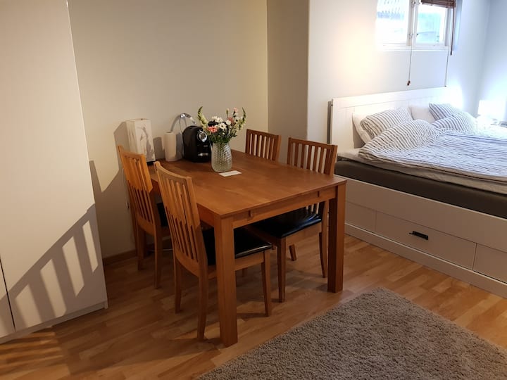 Private Room With Own Entrance And Bathroom. - Helsingborg