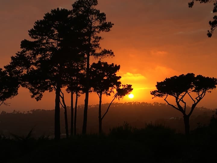 Pebble Beach, Del Monte Forest Holiday Rentals & Homes - Del Monte ...