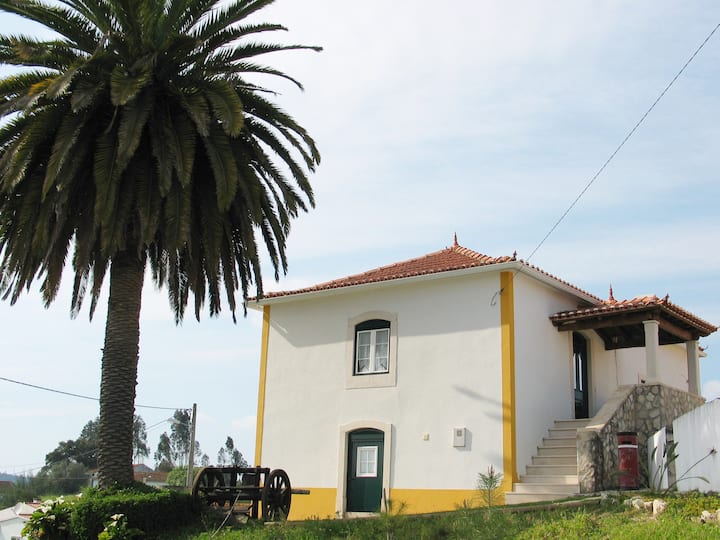 Casa Da Palmeira - (Moradia) - Rio Maior