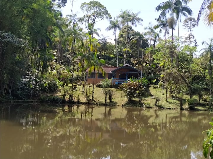 Chácara Sila - Casa Urutau Na Mata Atlântica - Morretes