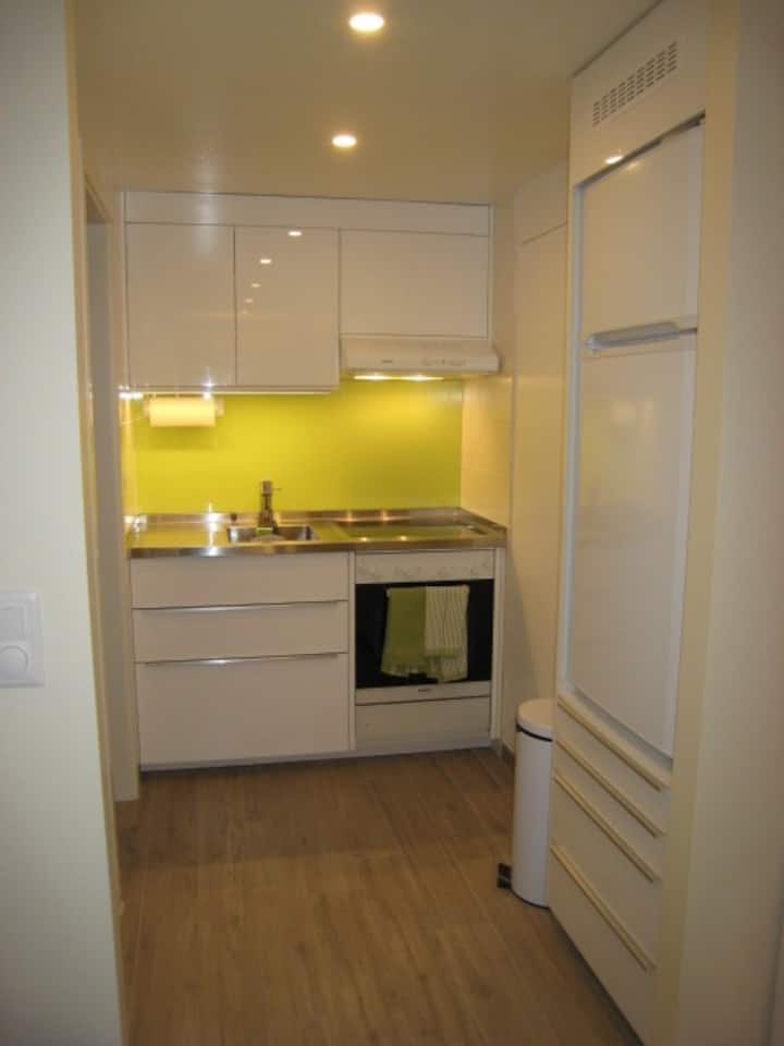 Petit Studio Dans Villa En Ville. - Genève